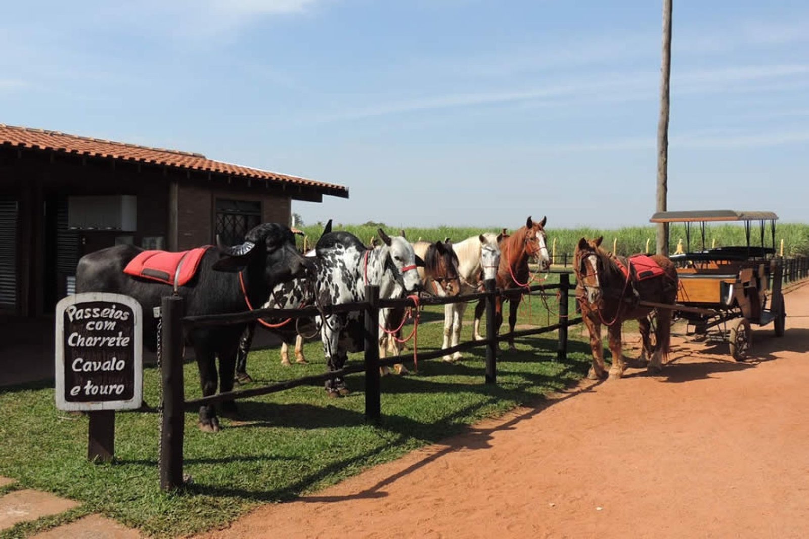 Barretos Country Resort – Barretos Reservas